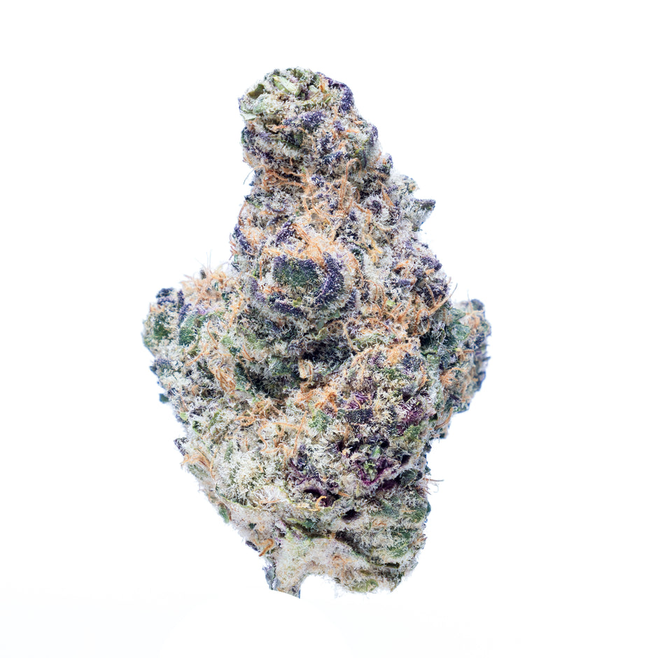 Indoor – Only Dank SA